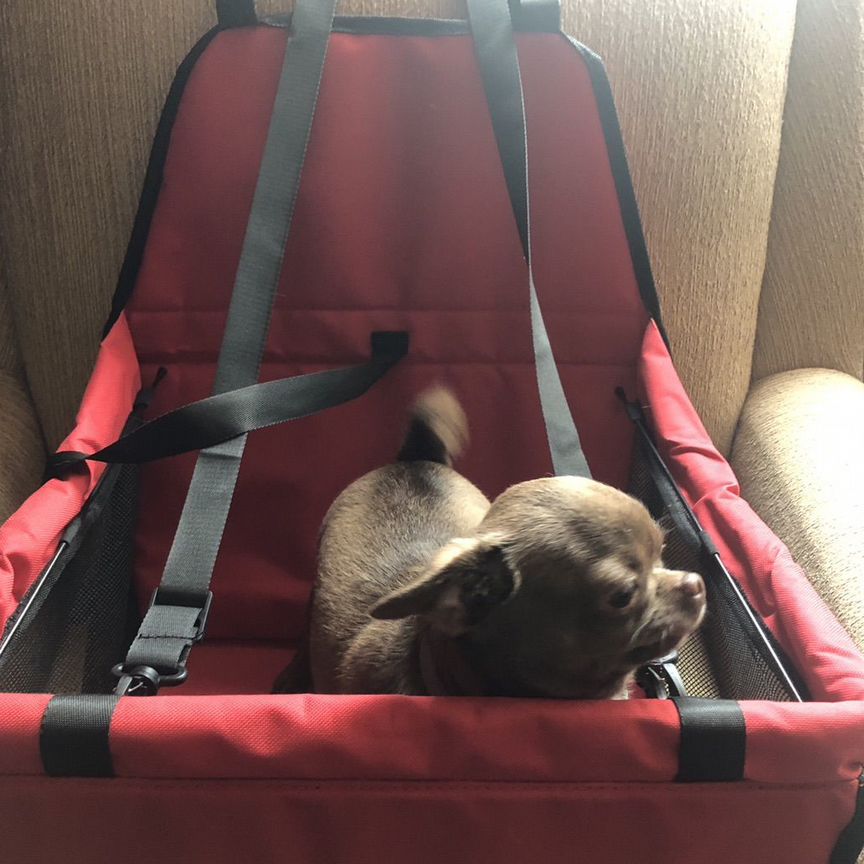 Авто кресло для собак и кошек