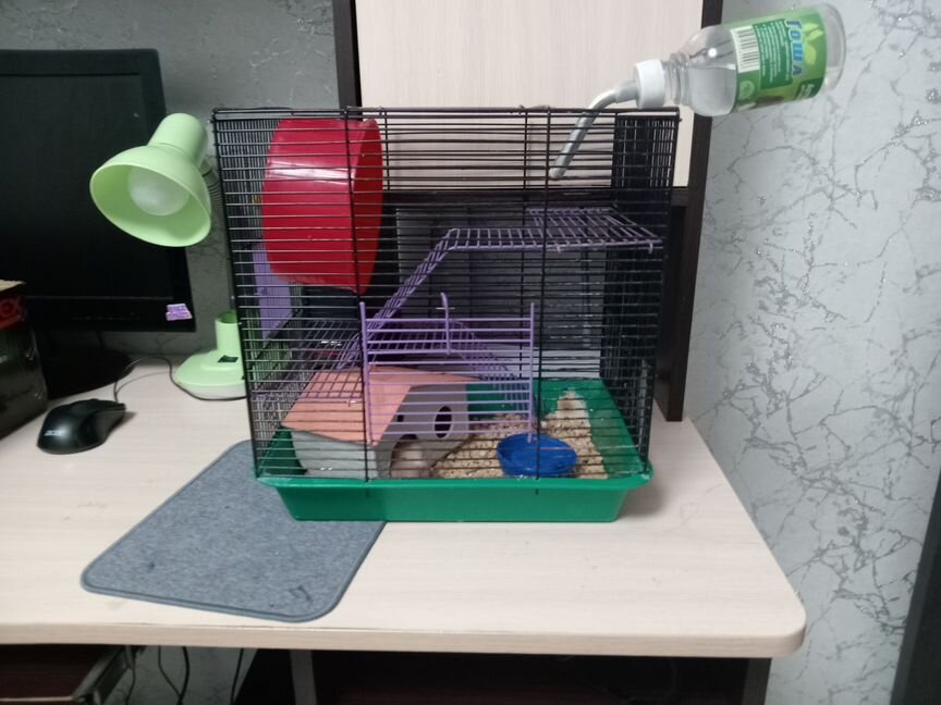 Клетка с хомяком
