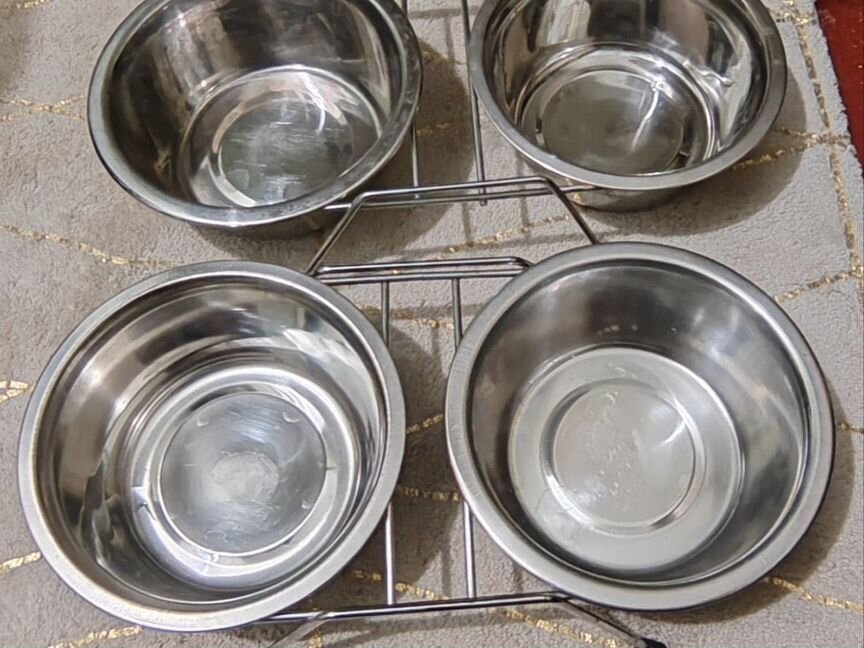 Миски собачьи