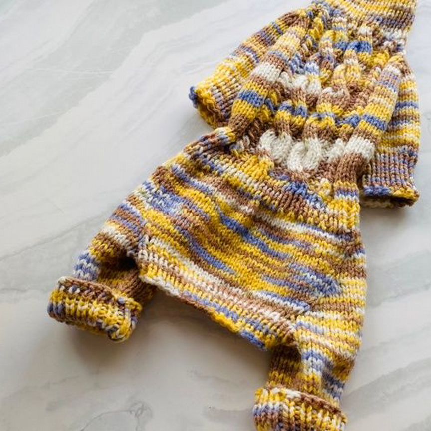 Комбинезон для маленькой собаки