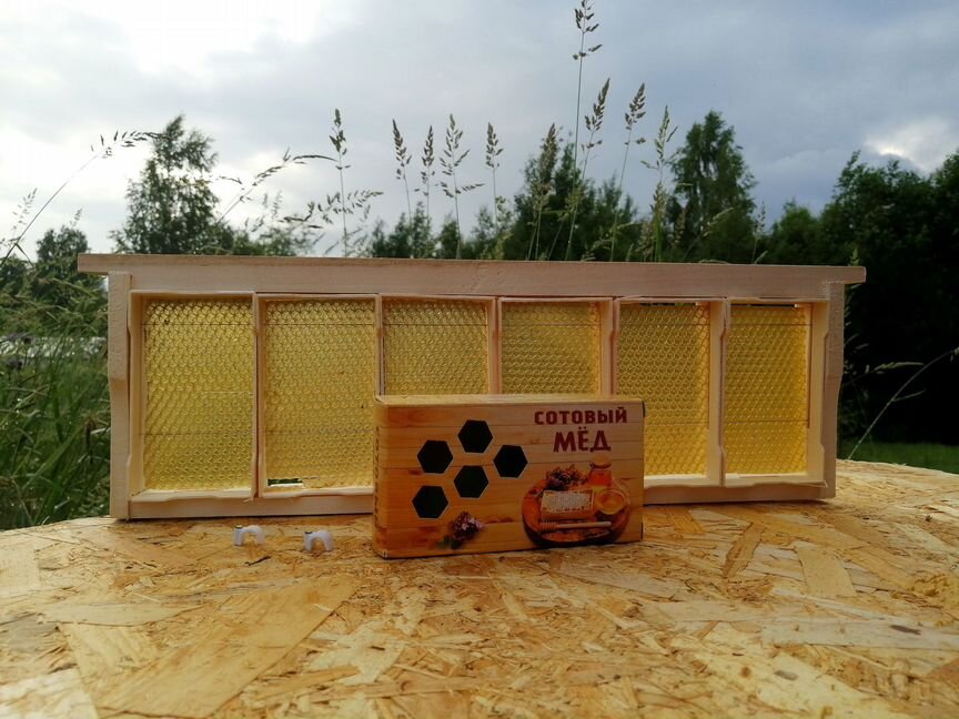 Рамки для сотового меда