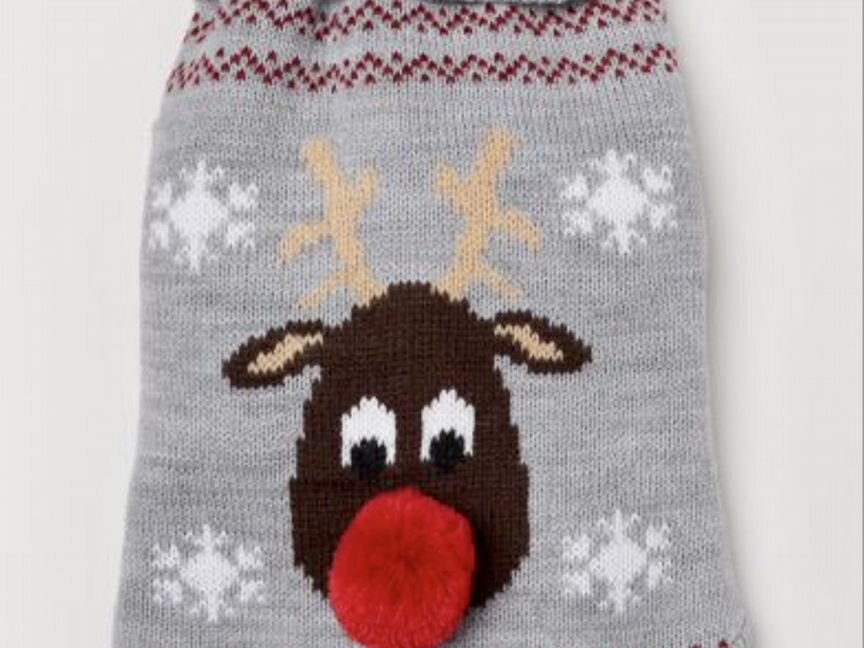 Одежда для собак / кошек HM