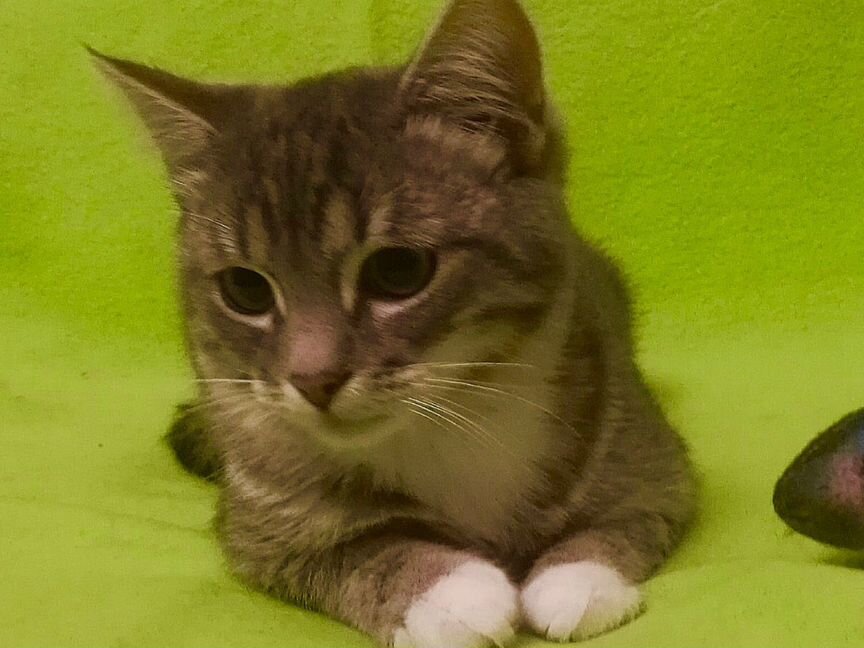 Малыш замерзал на улице