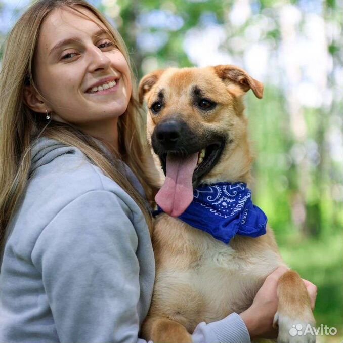 Маленький песик живет без семьи