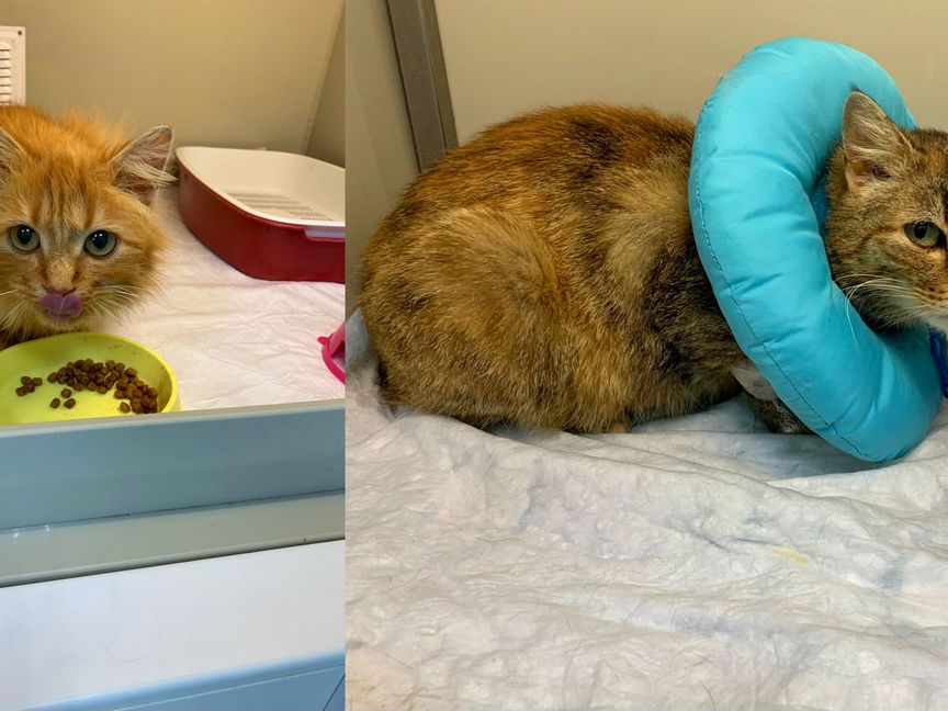 Выписываю сегодня. идти некуда (видео)