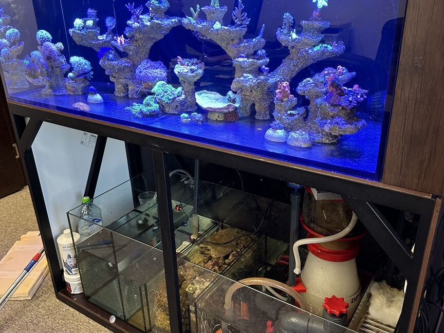 Продам морской аквариум