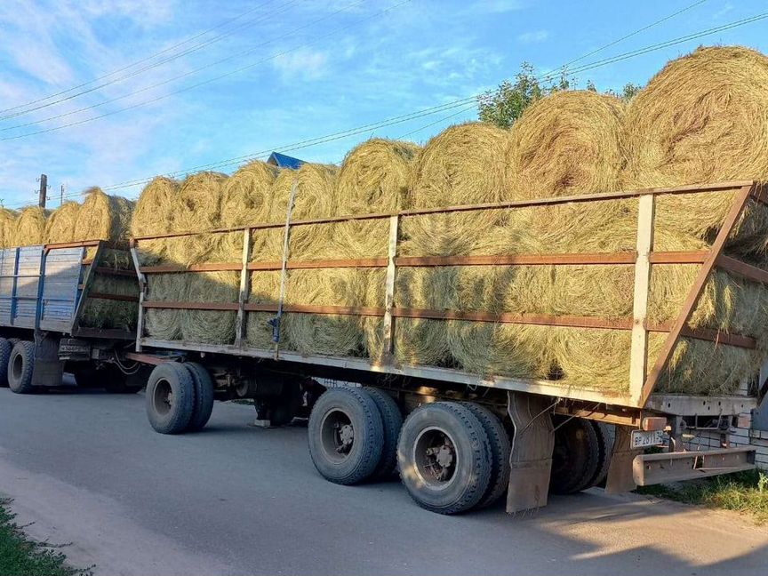 Продам сено в рулонах