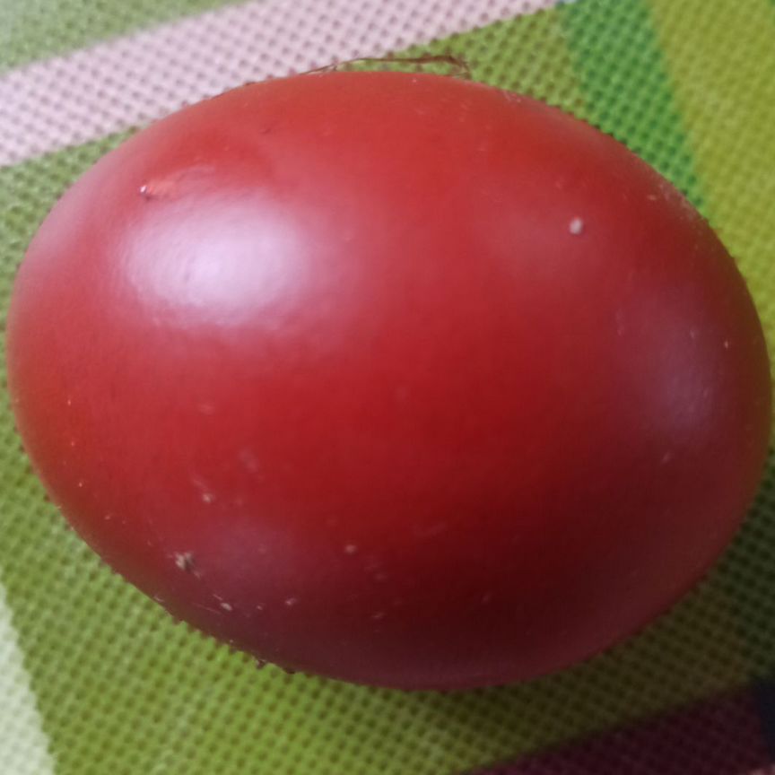 Инкубационное яйцо кур