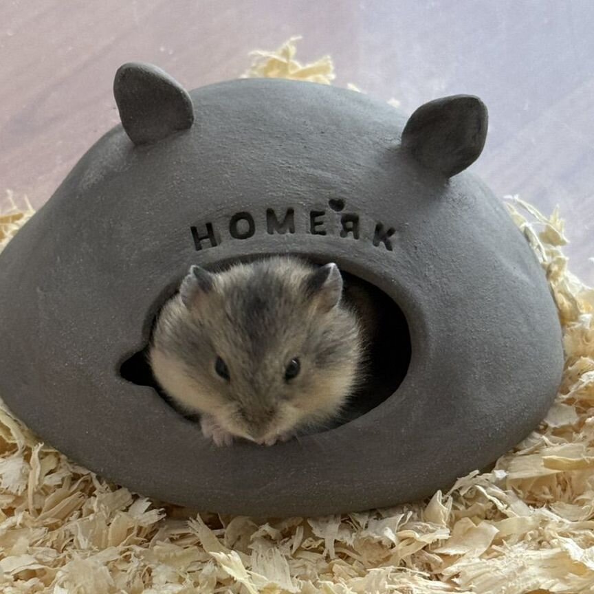 Домик для грызунов (керамика ручной работы)