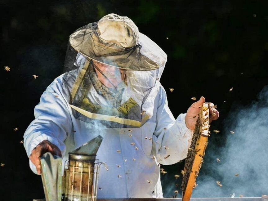 Пасека инвентарь