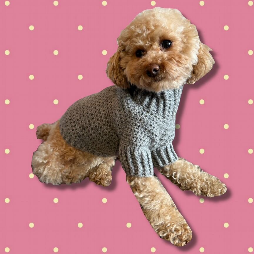 Свитер для собак мелких пород handmade