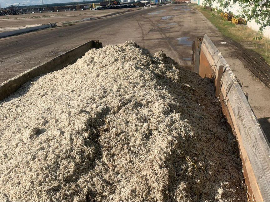 Жом свекольный