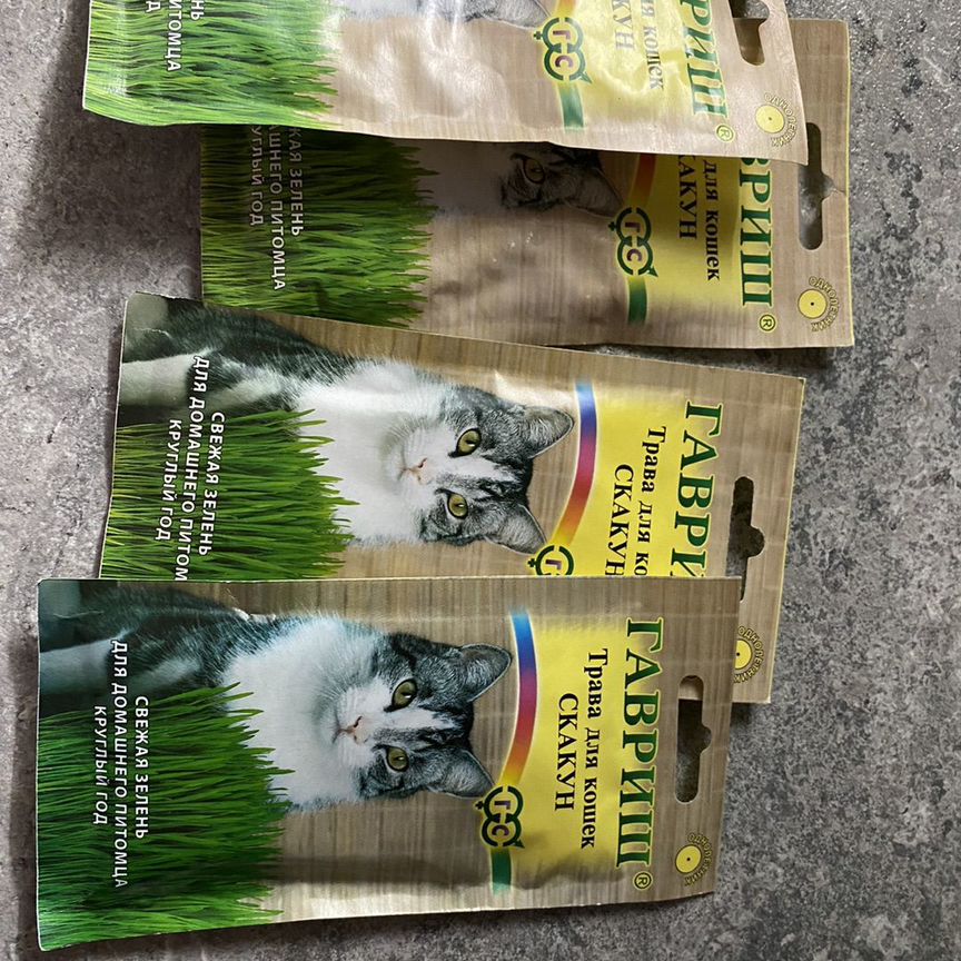 Травка для кошек "гавриш"