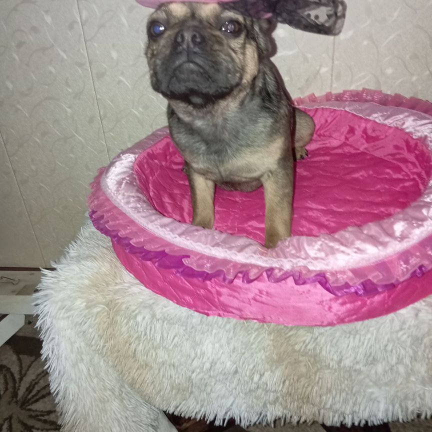 Мини буляшка