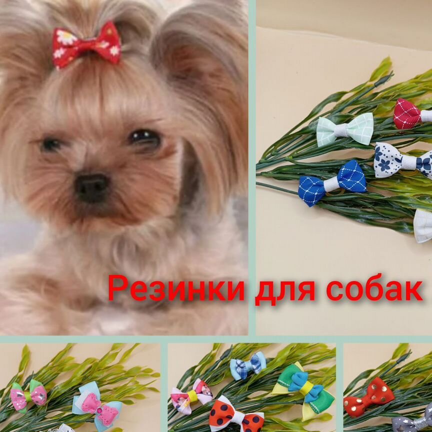 Резинки для собак