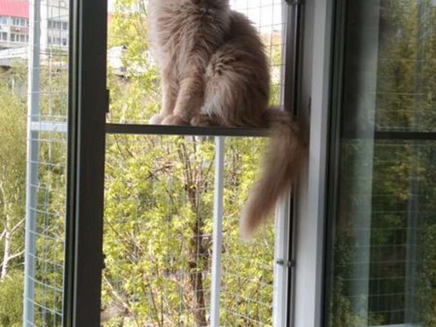 Вальеры-Балконы для питомцев на окна