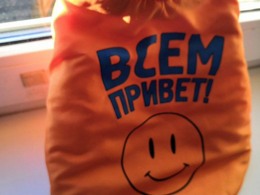 Безрукавка для маленьких собачек (тёплая)