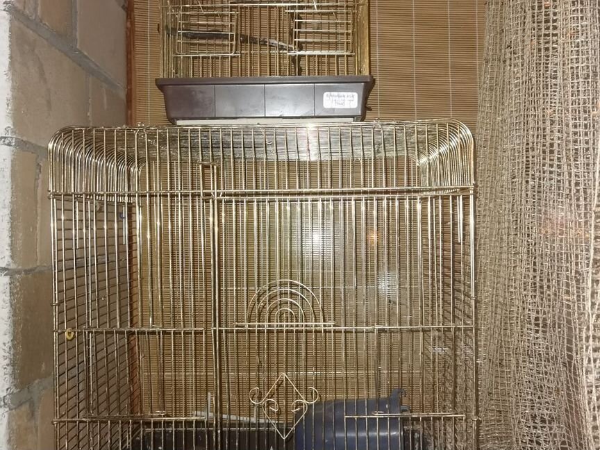 Клетки с птичками