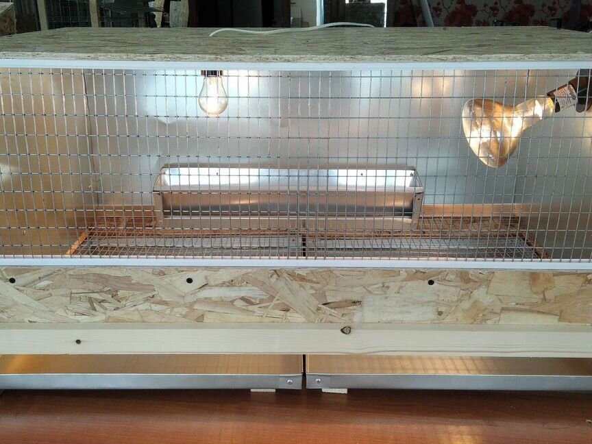 Брудер для цыплят, перепелят, индюшат и т.п