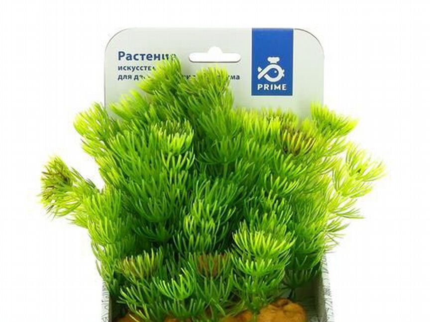 Prime Растение пластиковое Хвощ 15см