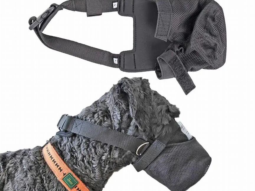 Защитный намордник