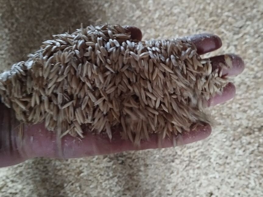 Зерносмесь ячмень+овес