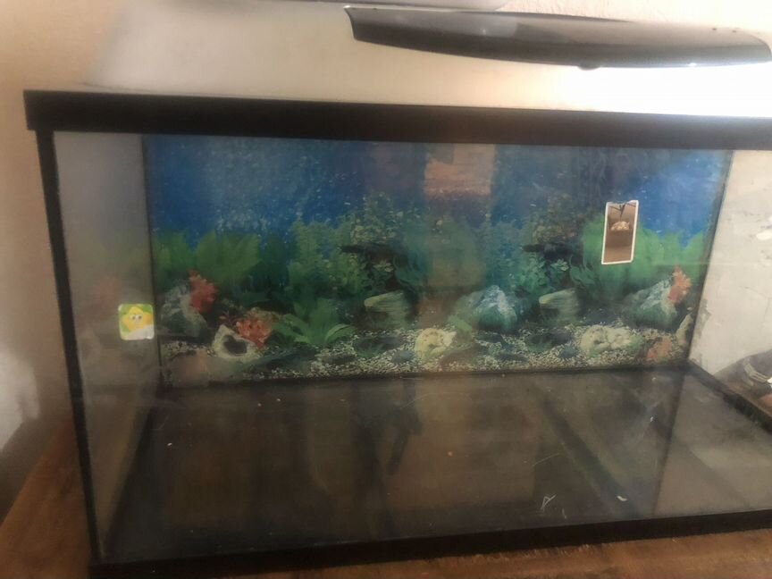 Аквариум с тумбой 200л