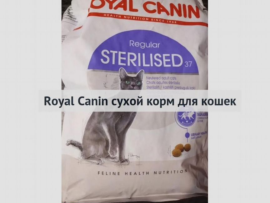 Royal canin regular sterlised 37 Royal Canin сухой