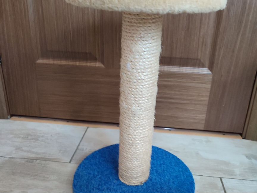 Когтеточка