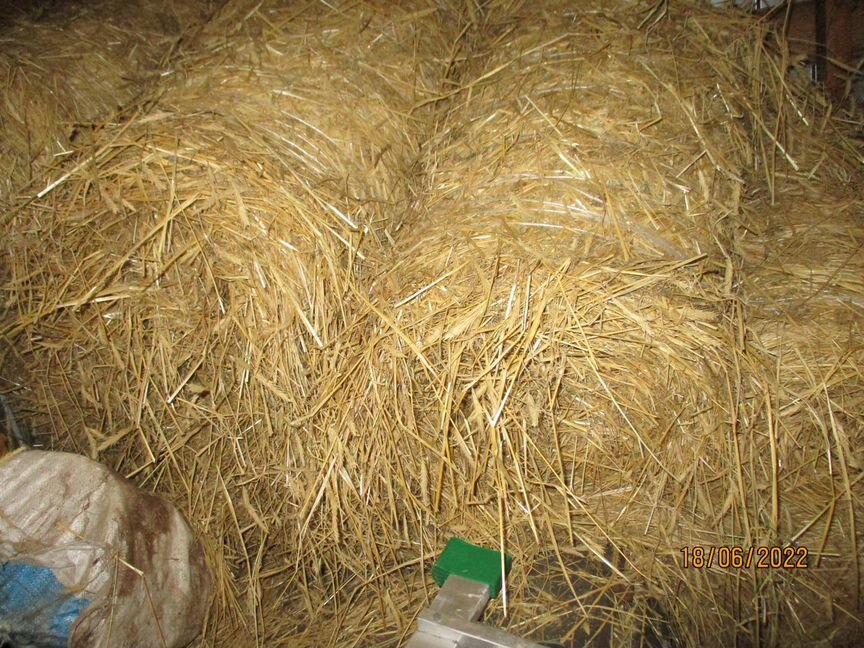 Товары для животных