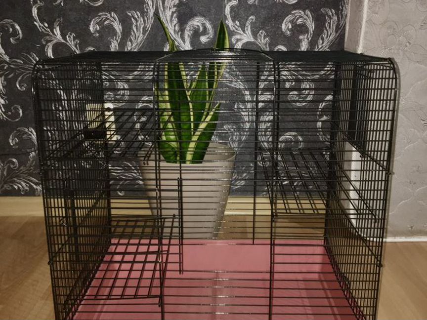 Клетка для грызунов/крыс