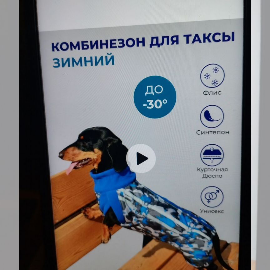 Комбинезон для таксы зимний