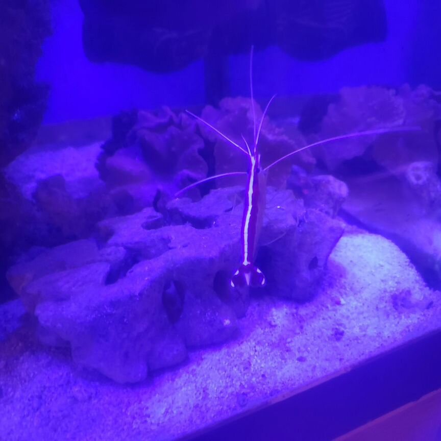 Морской Аквариум с тумбой