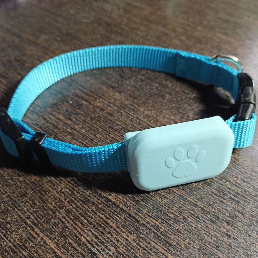 Ошейник-трекер для животных