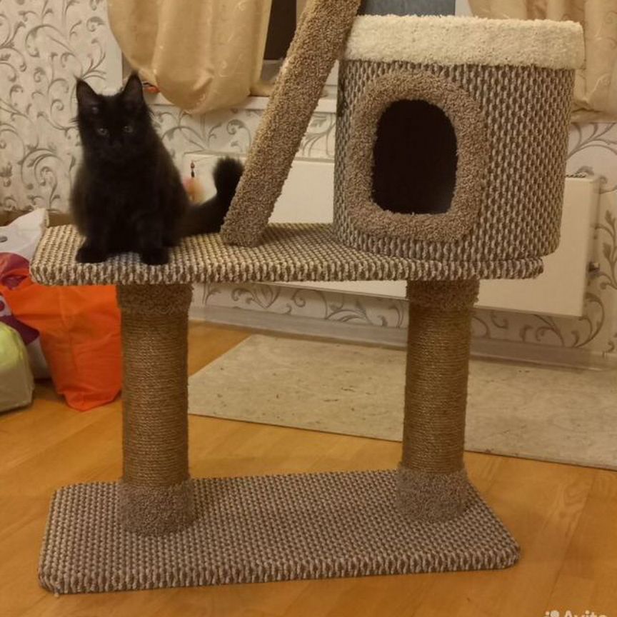 Домик для кота с когтеточкой