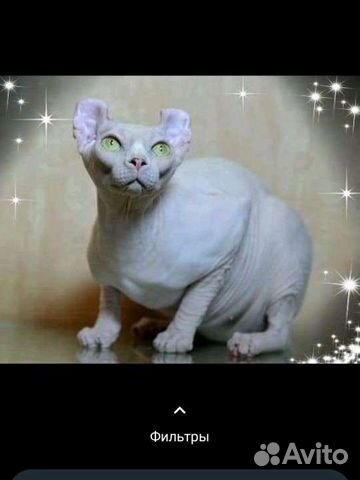 Белоснежная девочка эльф