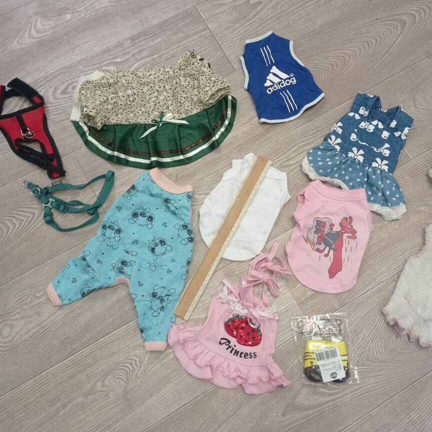 Одежда для маленьких собак xs