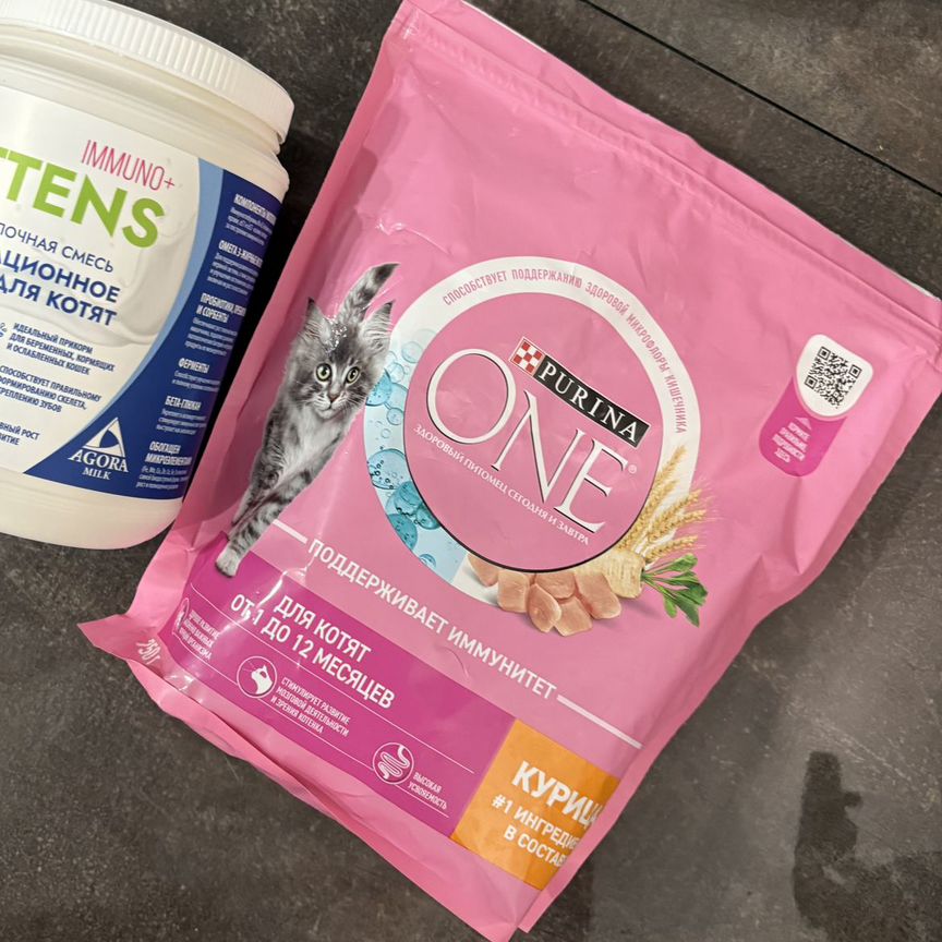 Молочная смесь для котят