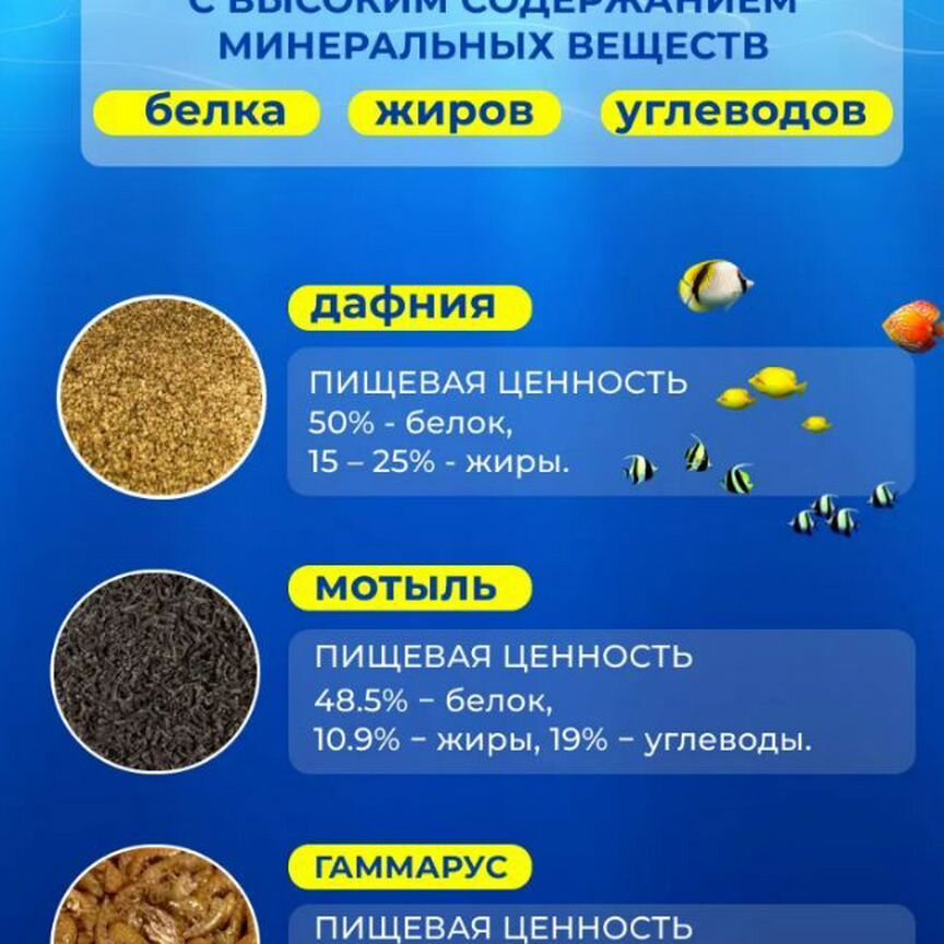 3 вида Корма для аквариумных рыб