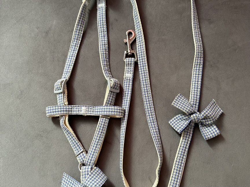 Шлейка для маленькой собаки