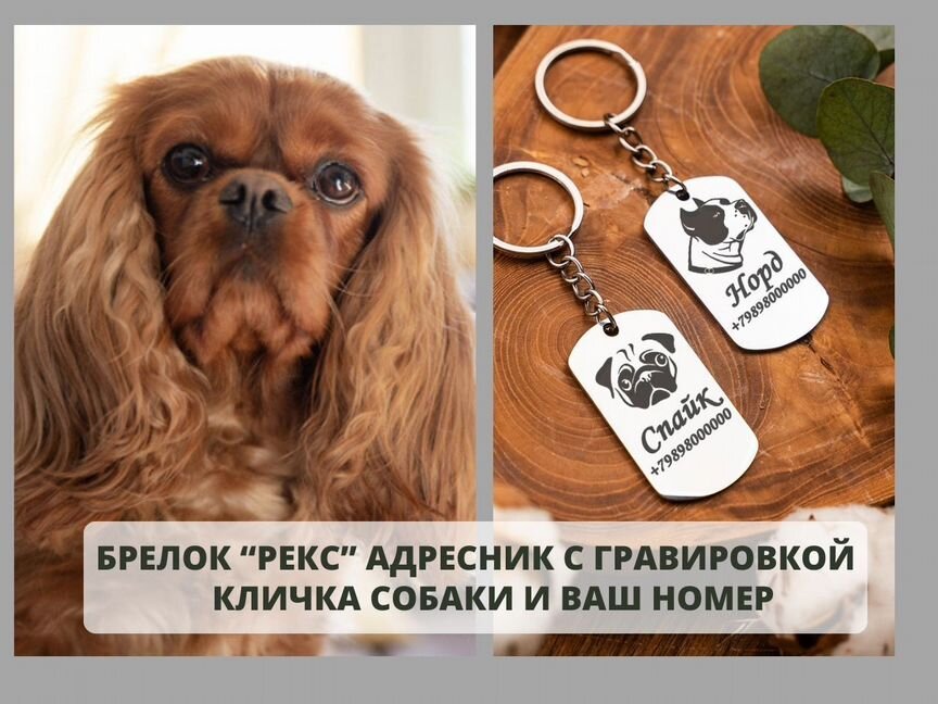 Адресник «Рекс» для собак и кошек. Гравировка клич