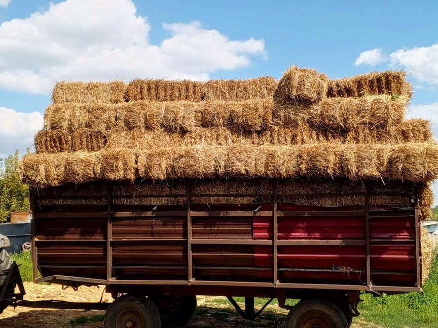Сено солома в тюках