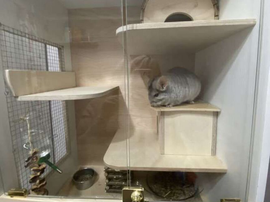 Клетка стеллаж для шиншилл грызунов