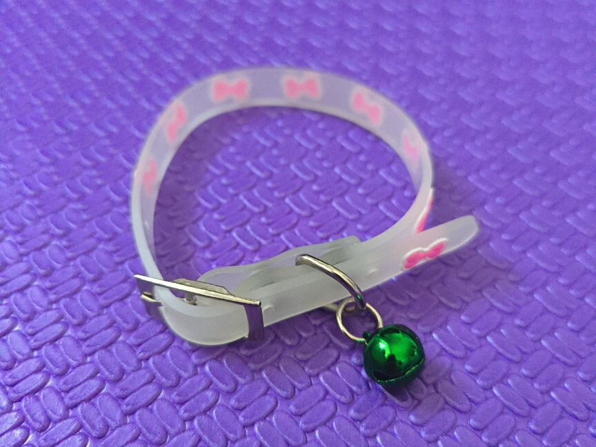 Вещи для животных