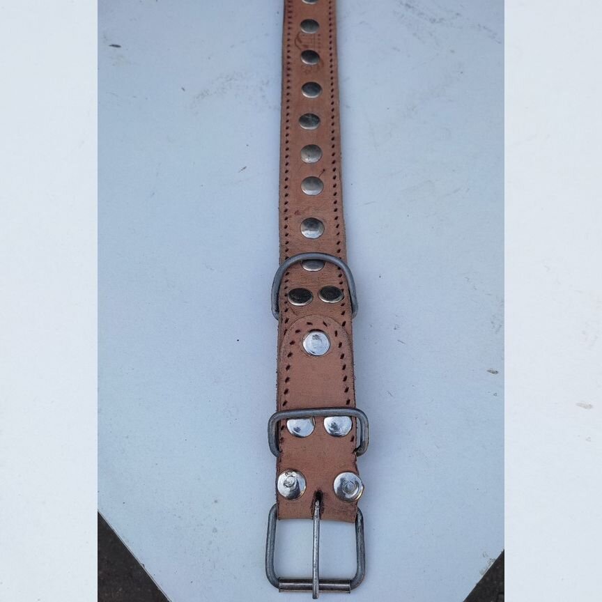 Ошейник для собак бу