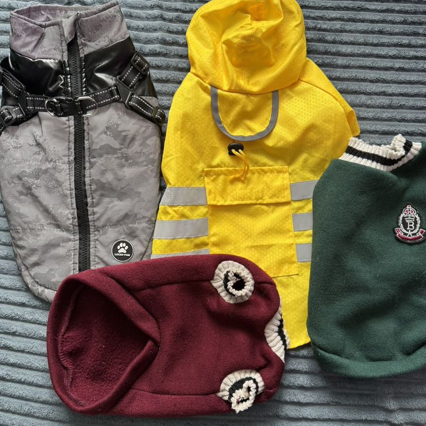 Одежда на собаку пакетом