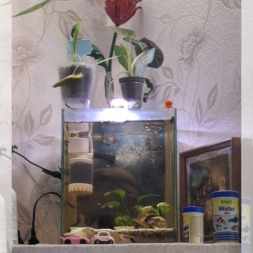 Аквариум куб