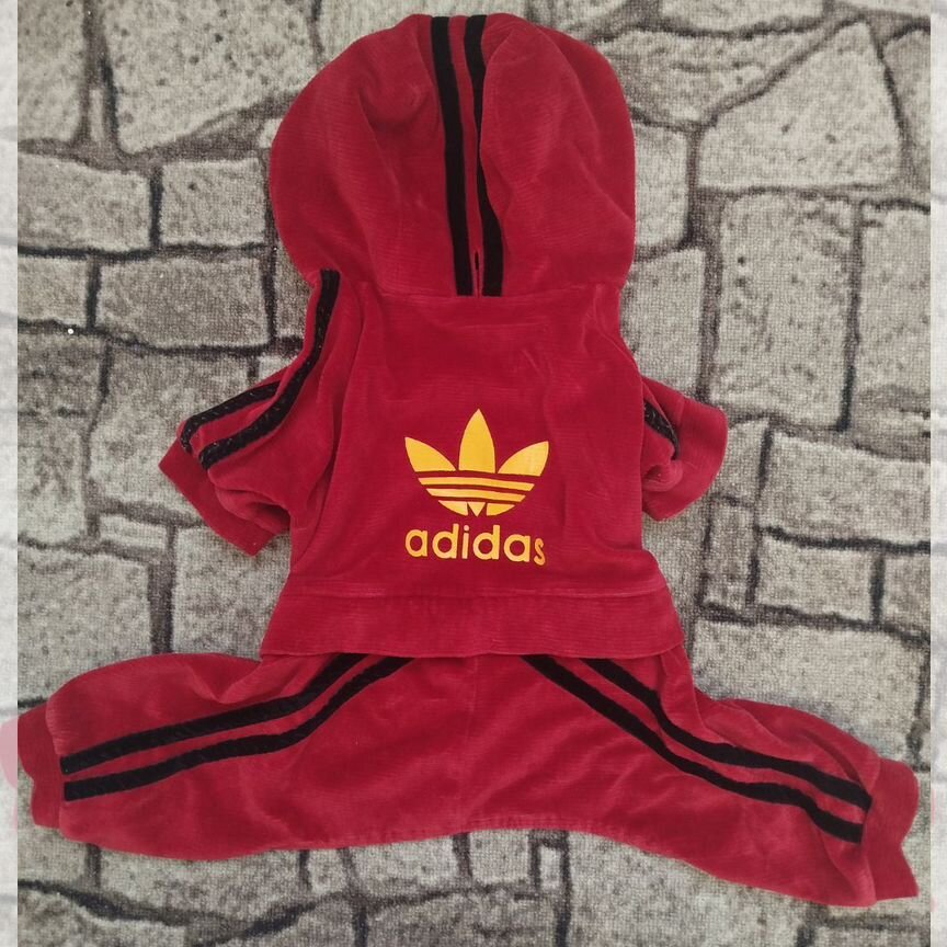 Одежда для собак