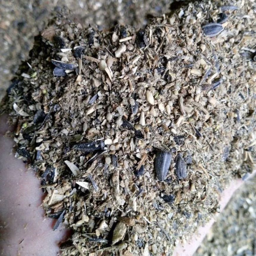 Отходы семечки