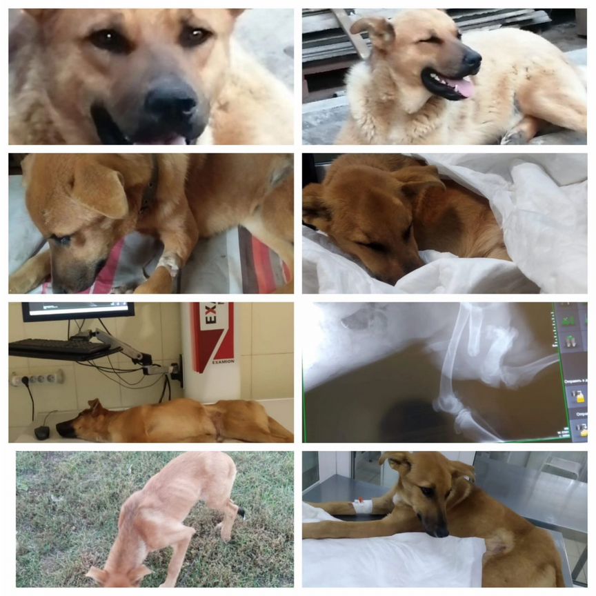 Ищу человека